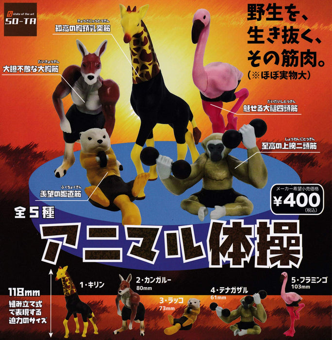 SO-TA Animal Gymnastics Set of 5 Figures Full Complete Set Gashapon to ...